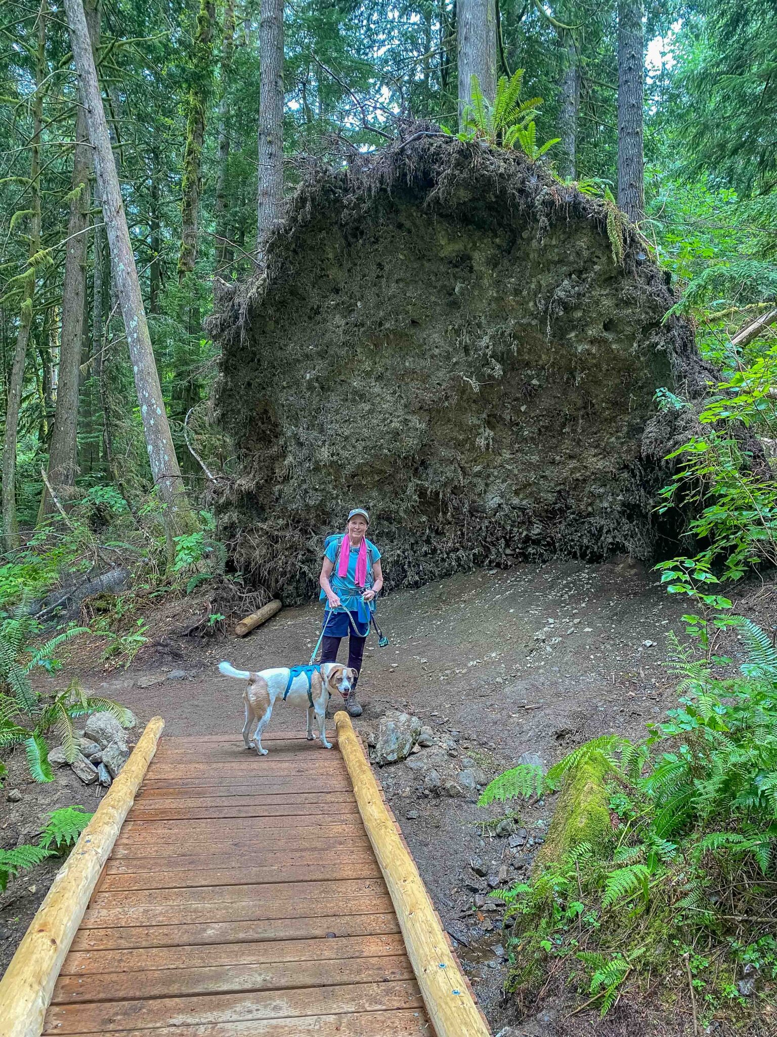 What Is Enough: Three Lessons from the Trail - Thriveclues